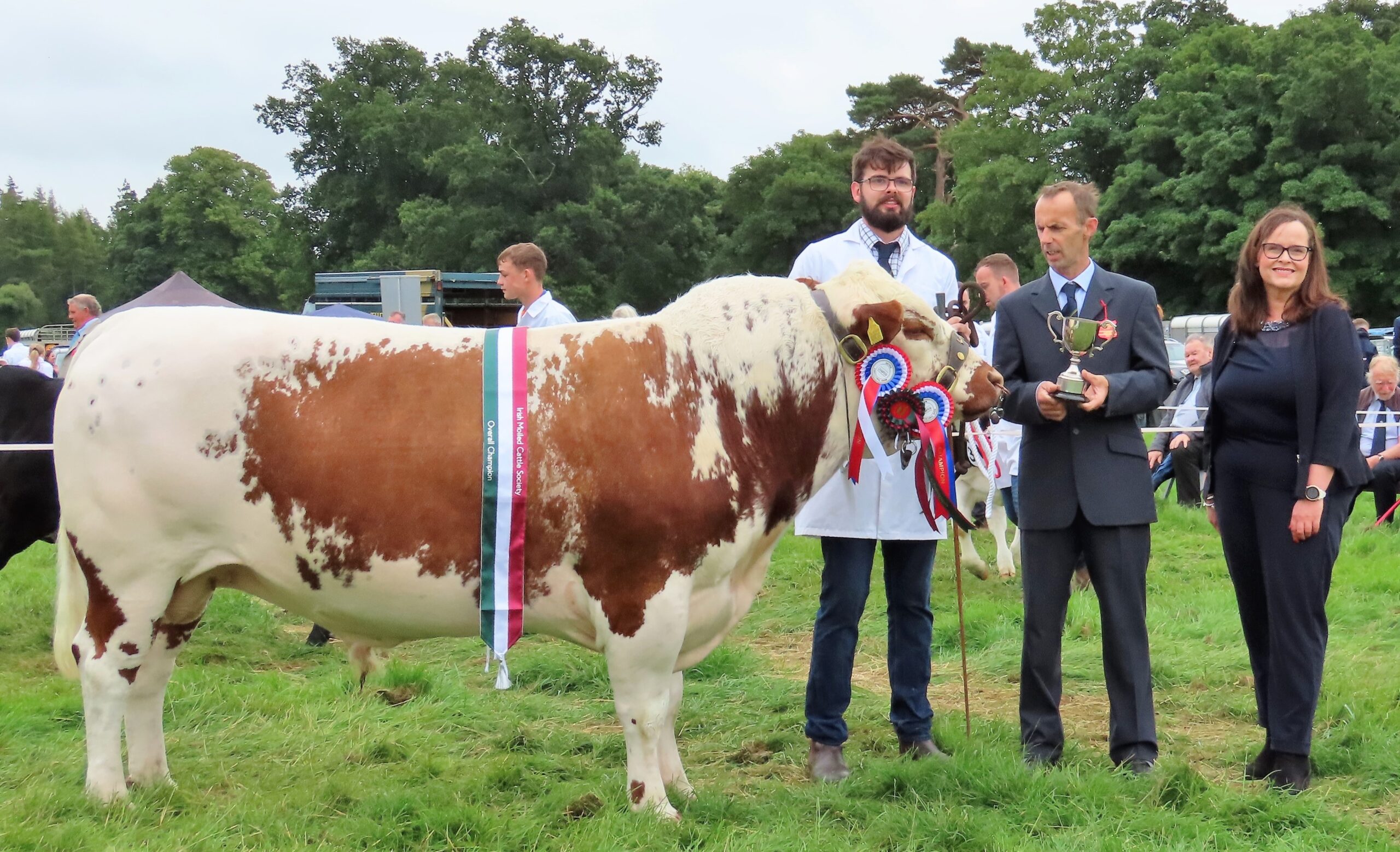 2022 -NI National Show- Results - Irish Moiled Cattle Society