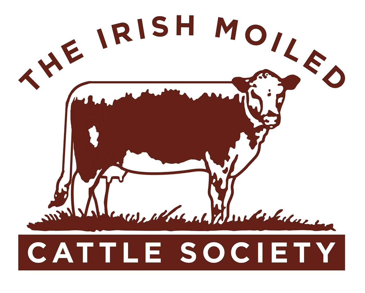 History - Irish Moiled Cattle Society