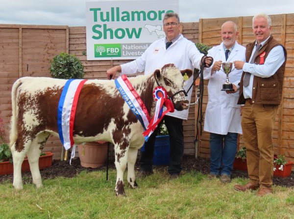 Home - Irish Moiled Cattle Society