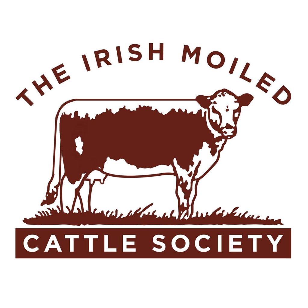 Replacement Certificate - Irish Moiled Cattle Society