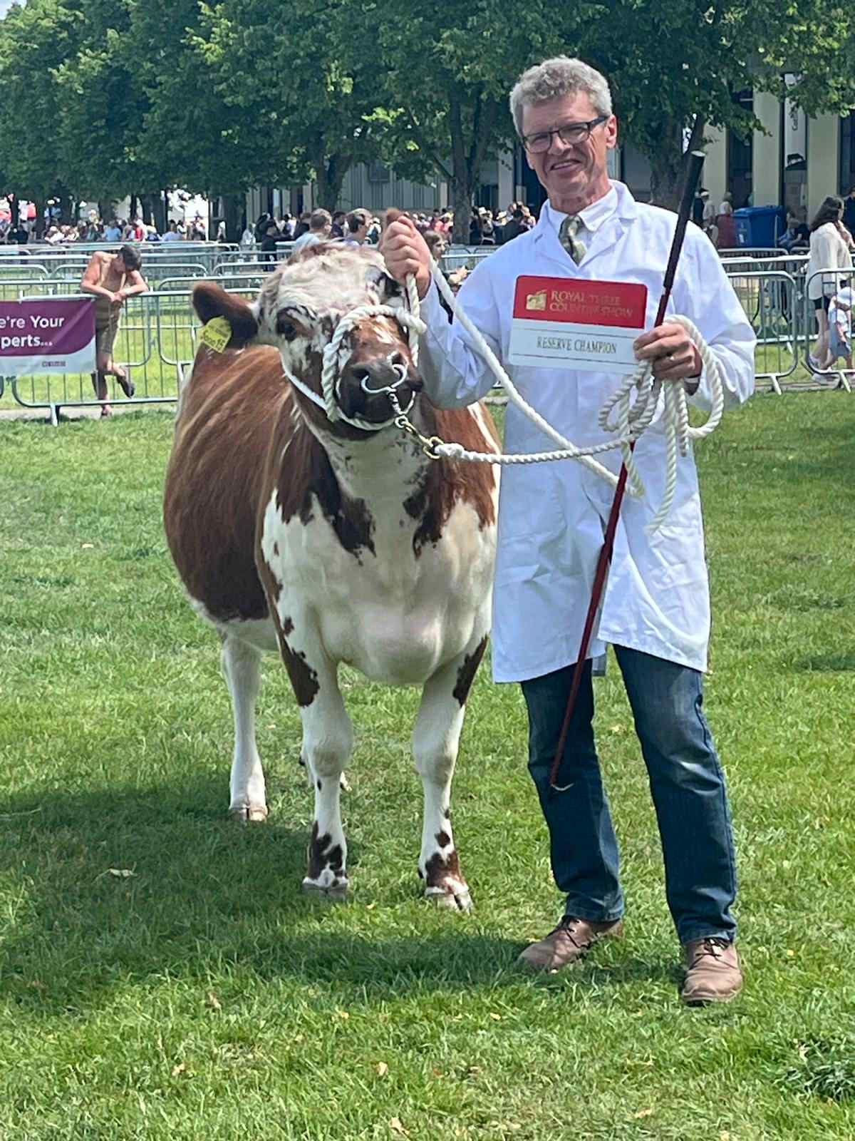 Home - Irish Moiled Cattle Society