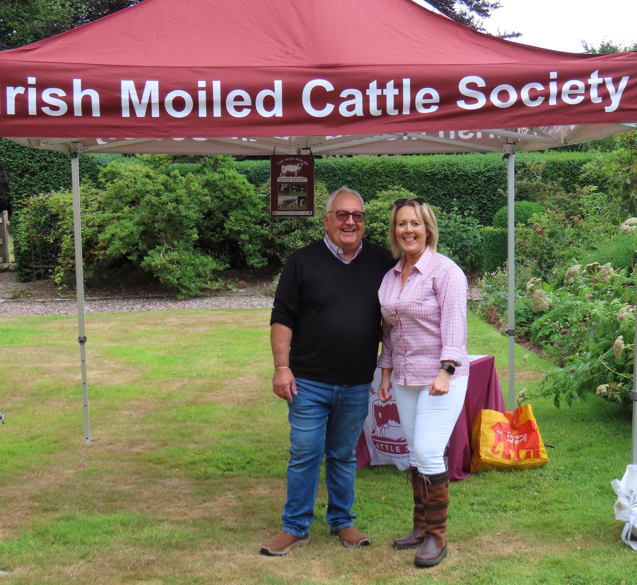 Home - Irish Moiled Cattle Society