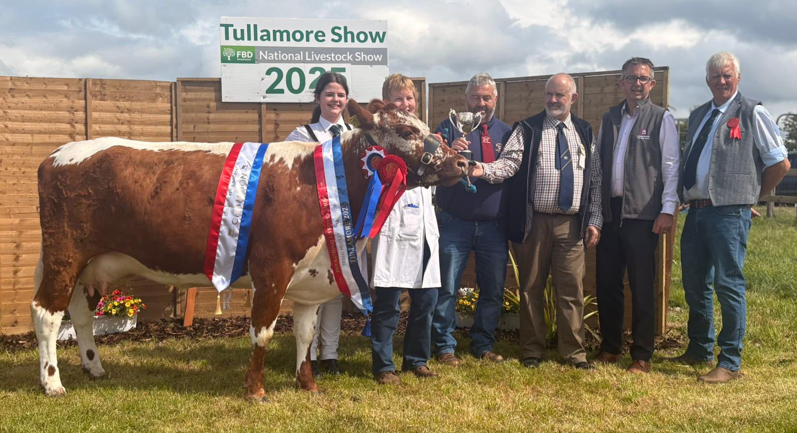 Home - Irish Moiled Cattle Society