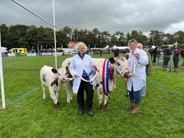 Home - Irish Moiled Cattle Society